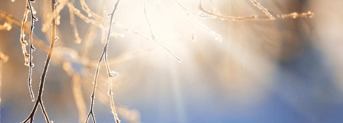 How to Stay Energised This Winter - A Pharmacist’s Guide – The Naked ...